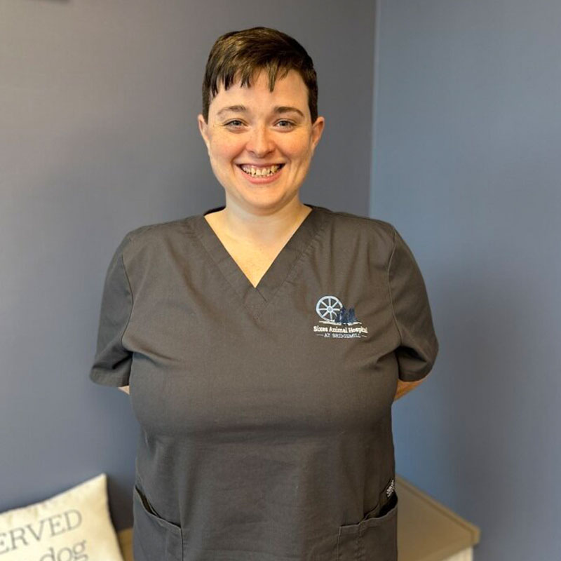 Cassie - Vet in Canton - Sixes Animal Hospital